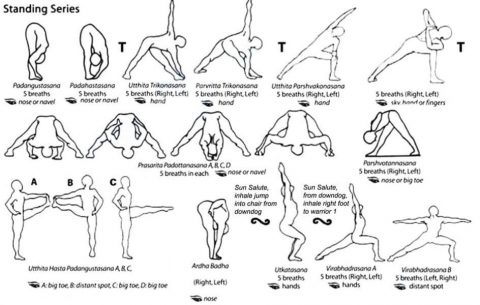 Ashtanga Vinyasa Primary Series | Ashtanga vinyasa yoga in Nepal